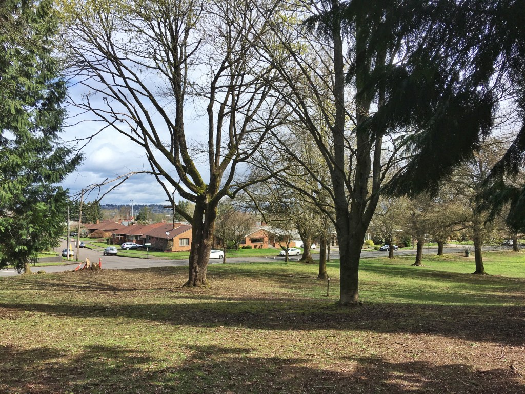 Fernhill Park: From wild thicket to popular neighborhood park « Alameda ...