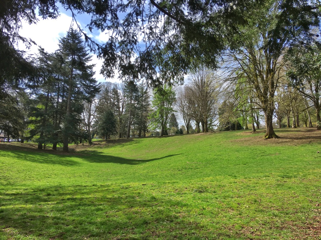 Fernhill Park: From wild thicket to popular neighborhood park « Alameda ...