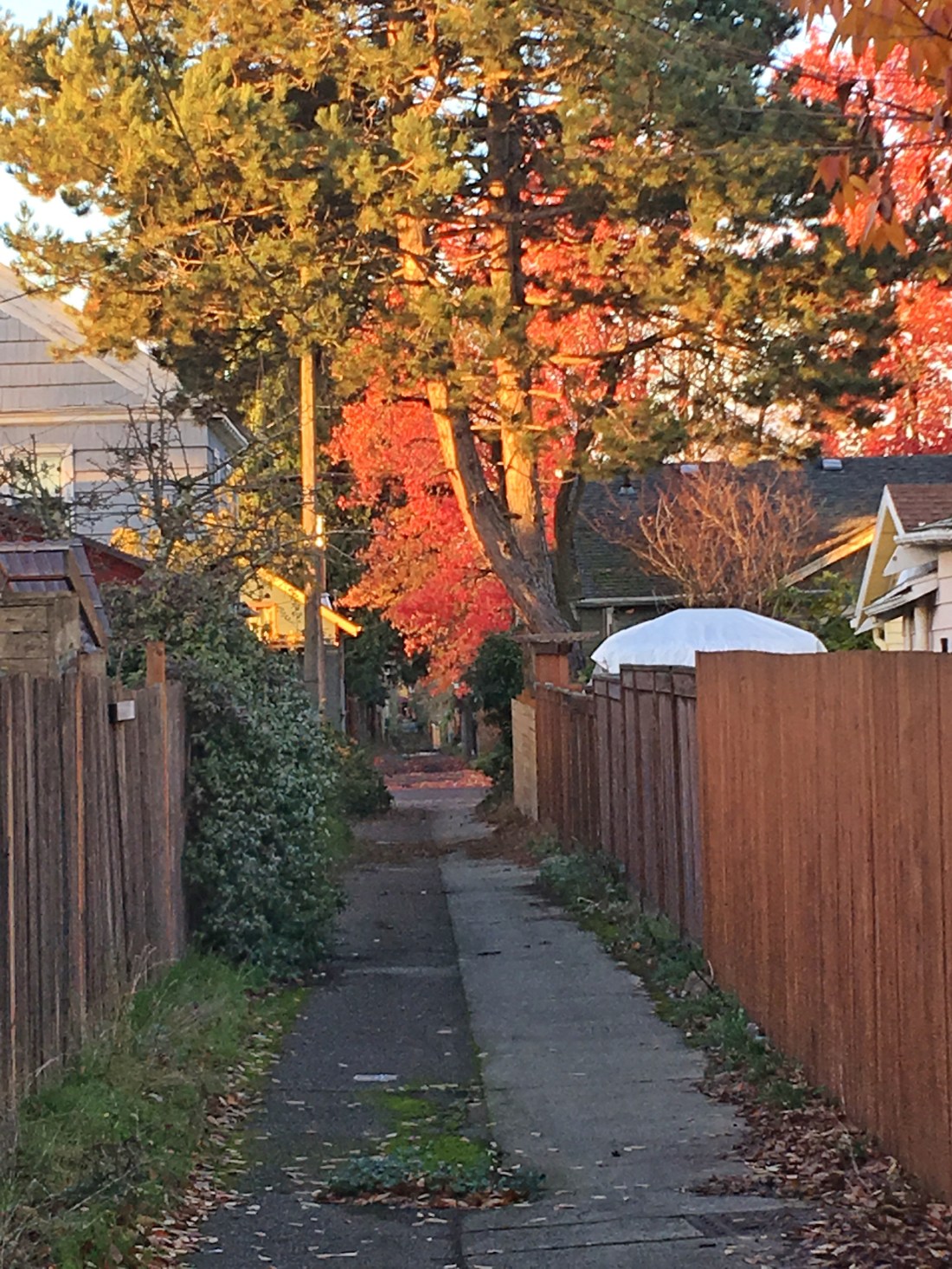 In praise of alleys « Alameda Old House History